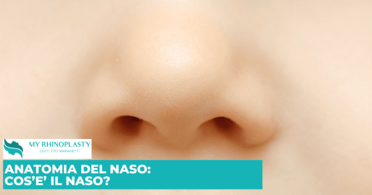 Tutto Sul Naso: Anatomia, Funzione E Patologie • My Rhinoplasty